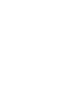 About Us - Silanna Group